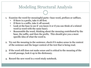 The Stages of spelling | PPTX