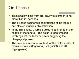 Stages of swallowing | PPT