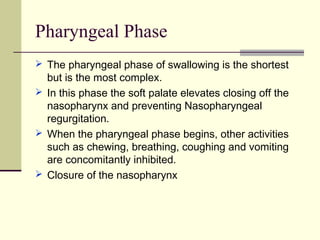 Stages of swallowing | PPT