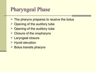 Stages of swallowing | PPT