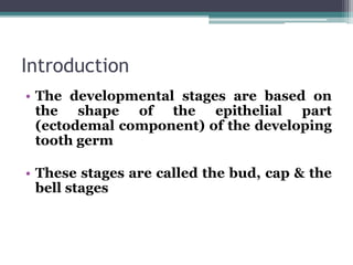 Stages of tooth development | PPTX