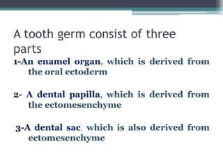 Stages of tooth development | PPTX