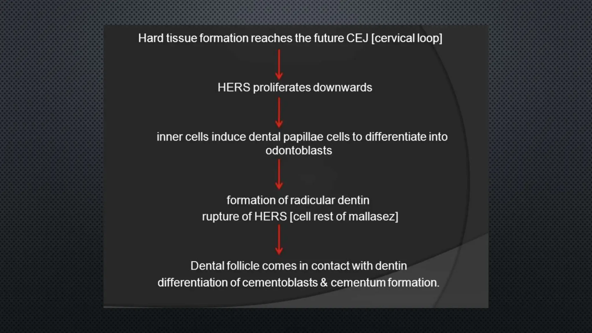 Stages of Tooth dev............elopment.pptx