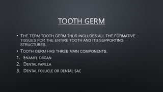 Stages of Tooth dev............elopment.pptx