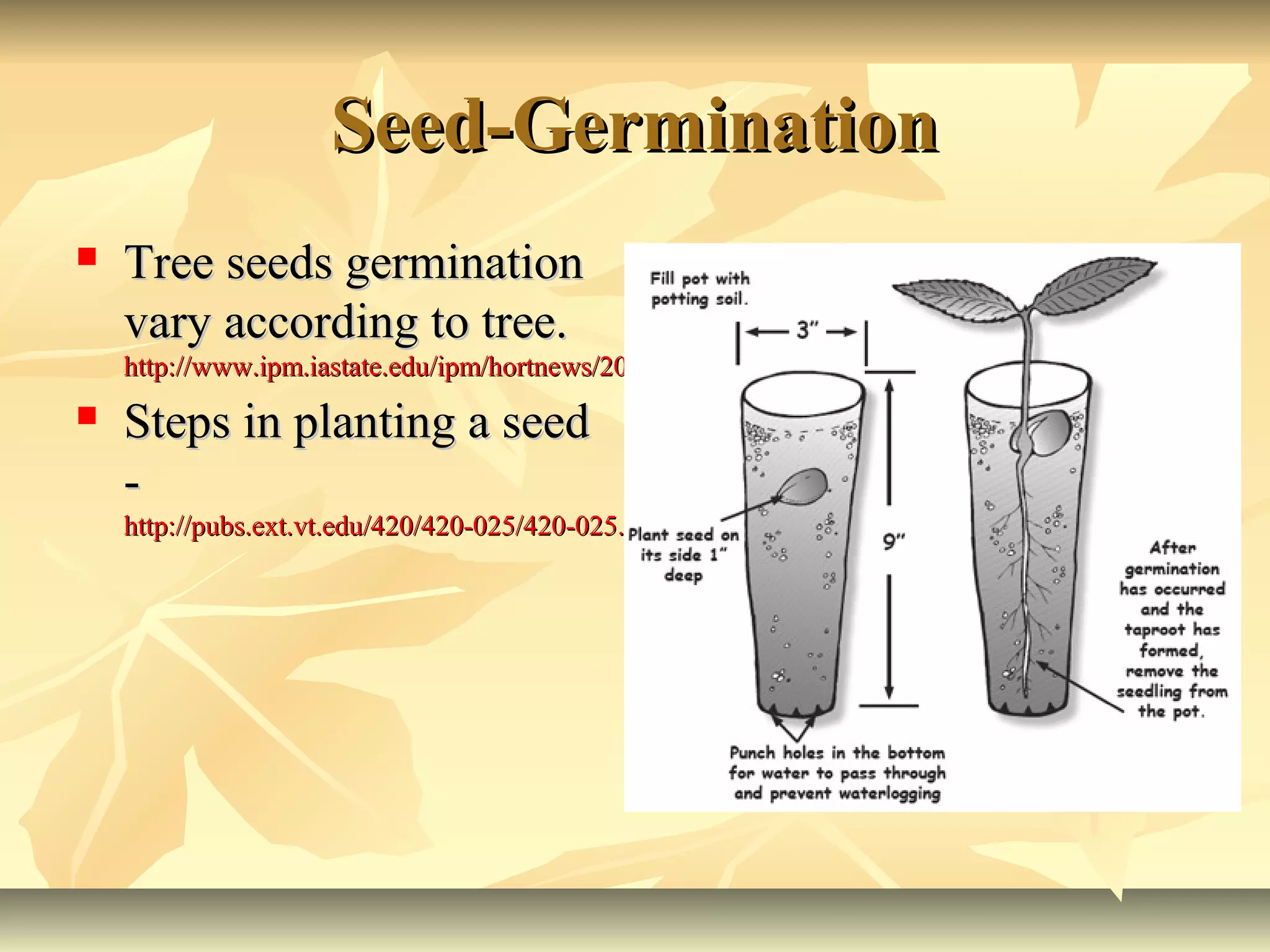 Stages of tree | PPT