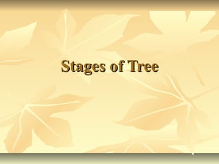 Stages of tree | PPT