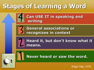 Stages of word learning | PPTX | Education