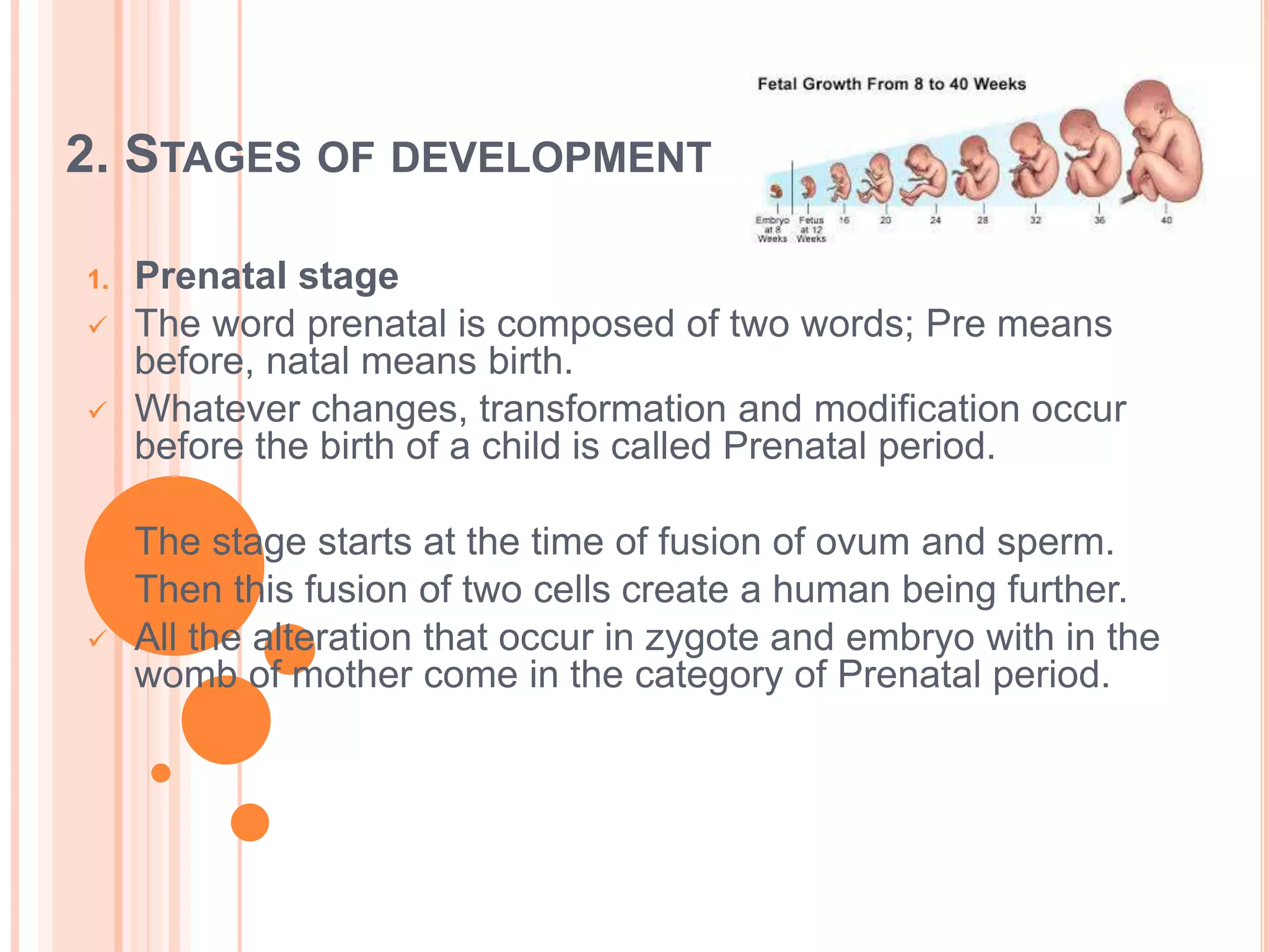 Stages or periods of development and learning | PPTX
