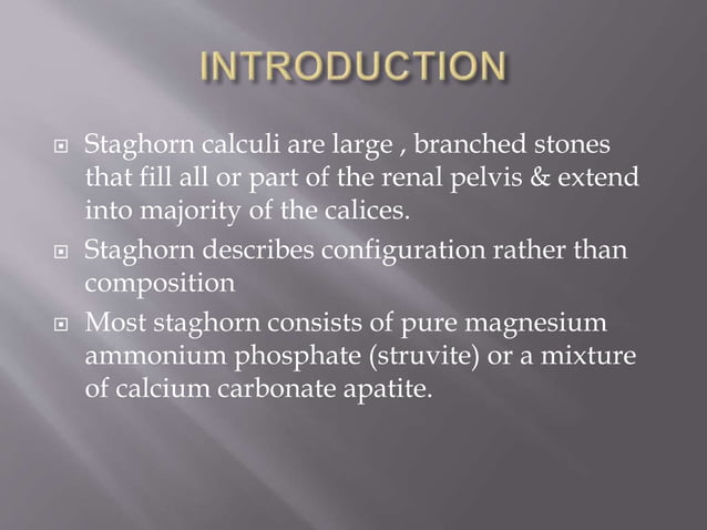 Staghorn calculi | PPTX | Chemistry | Science