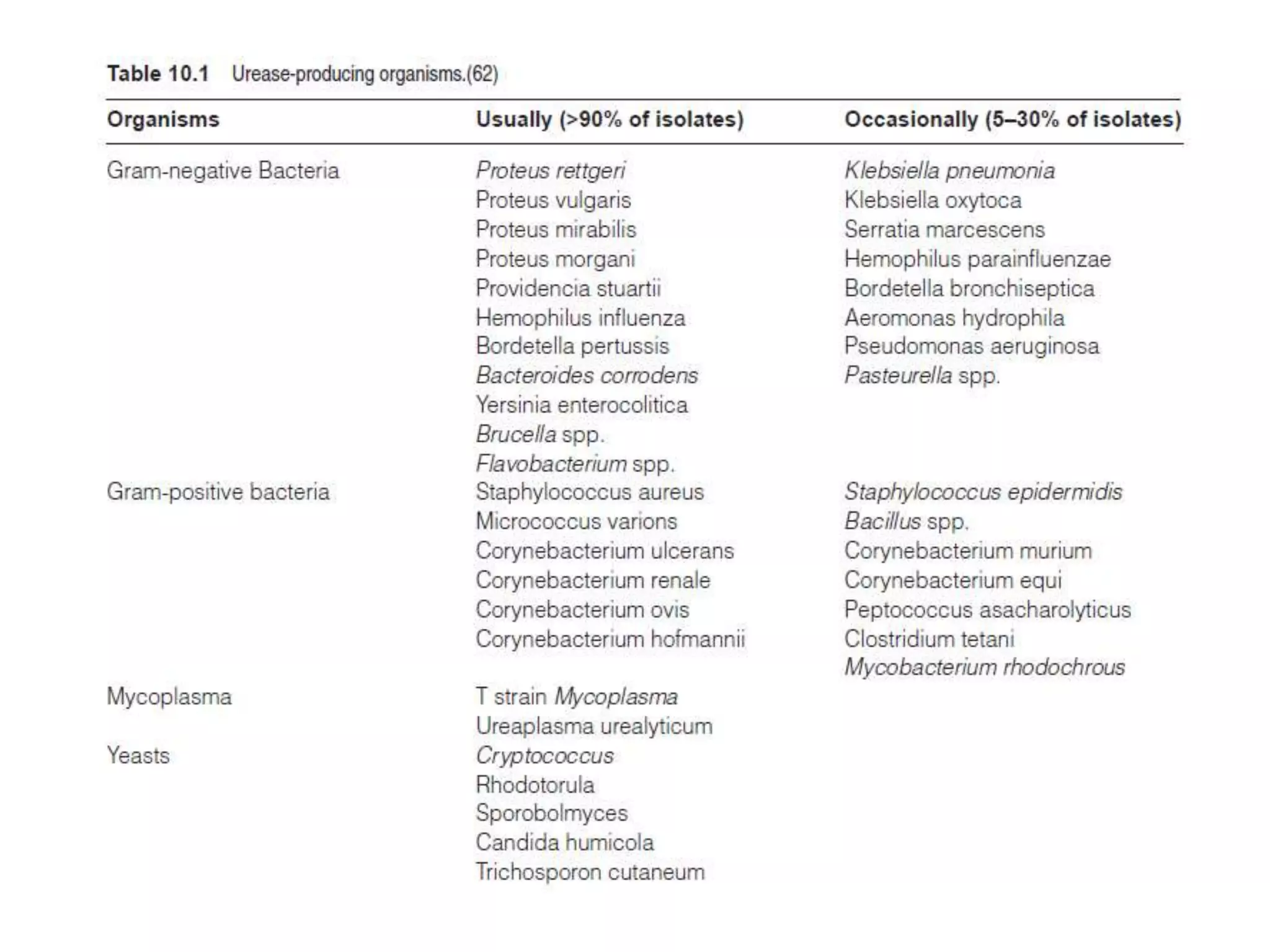 Staghorn calculus – etiology, diagnosis, management | PPTX