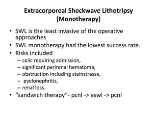 Staghorn calculus – etiology, diagnosis, management | PPTX