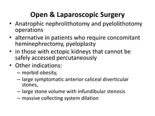 Staghorn calculus – etiology, diagnosis, management | PPTX