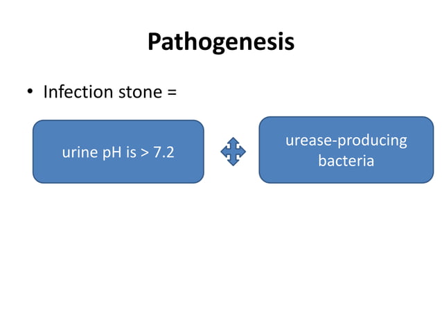 Staghorn calculus – etiology, diagnosis, management | PPTX | Chemistry ...