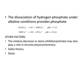 Staghorn calculus – etiology, diagnosis, management | PPTX
