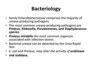Staghorn calculus – etiology, diagnosis, management | PPTX