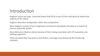 Staghorn stones | PPTX