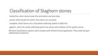 Staghorn stones | PPTX