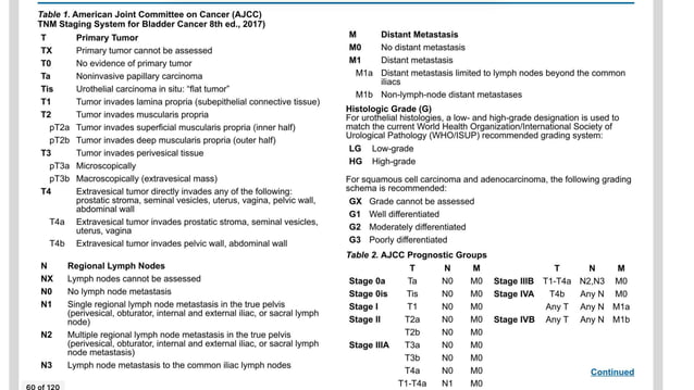 Staging and investigation of ca kidney and bladder | PPT