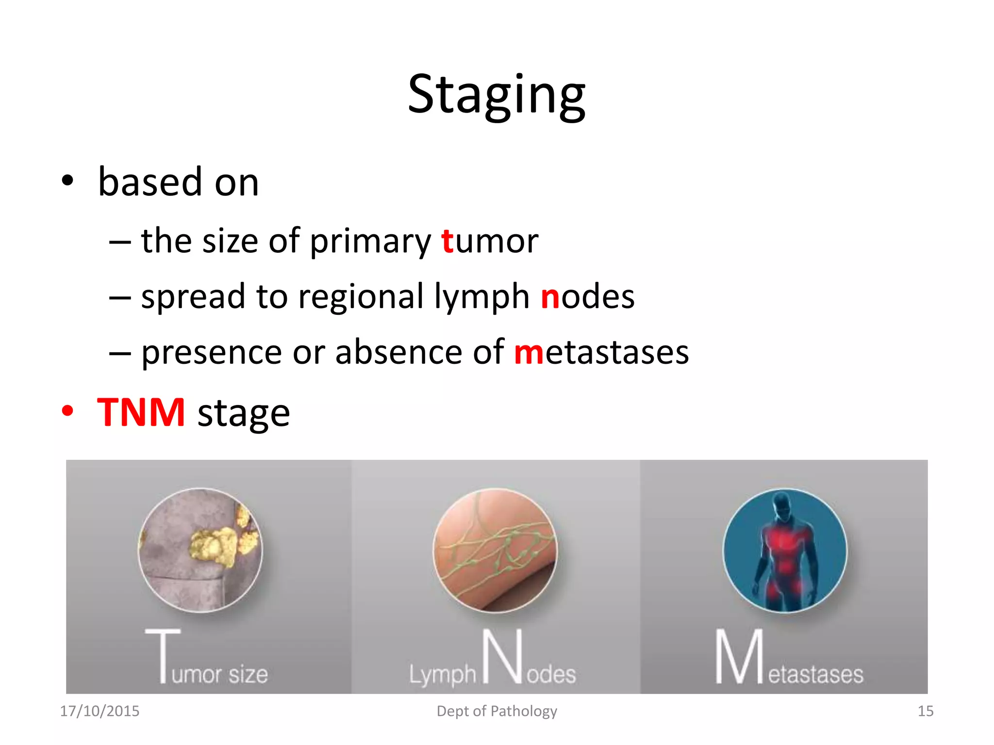 Staging grading and spread of tumors | PPTX | Cancer | Diseases and ...