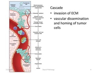 Staging grading and spread of tumors | PPTX | Cancer | Diseases and ...