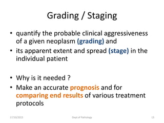 Perugini Grading Prognosis : What does Perugini mean? – PEEQT