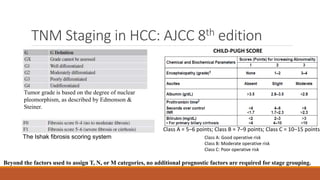 Staging in HCC.pptx