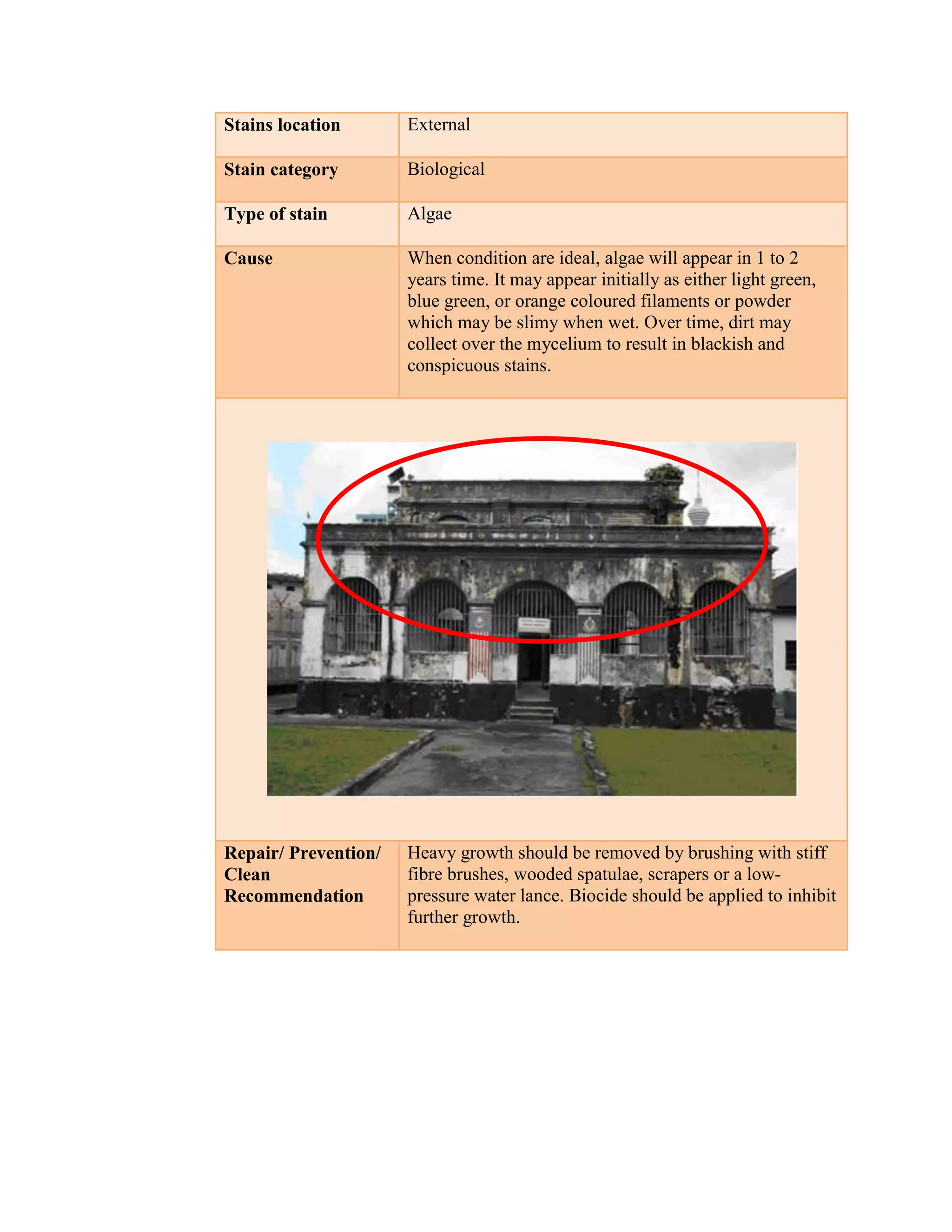Staining : Pudu jail case study | DOCX