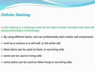 Staining | PPTX | Chemistry | Science