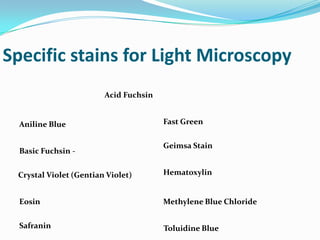 Staining | PPTX | Chemistry | Science