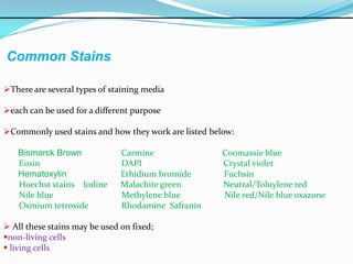 Staining | PPTX | Chemistry | Science