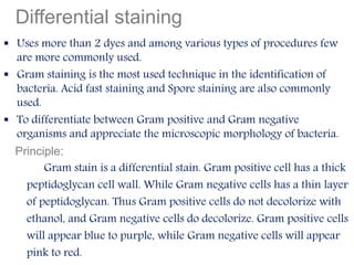 Staining | PPTX