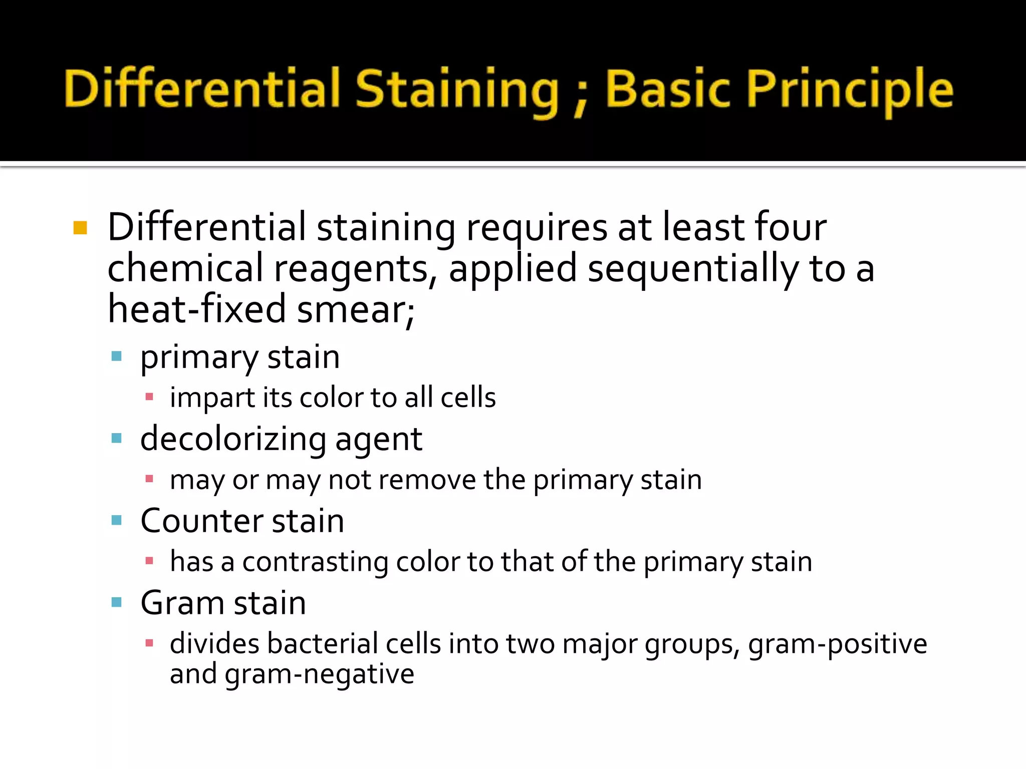 Staining? Importance of staining, What is Stain? Types of stain on the ...
