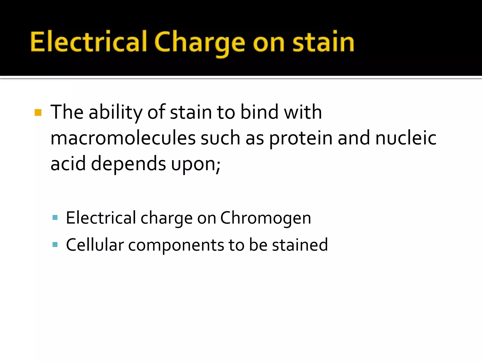 Staining? Importance of staining, What is Stain? Types of stain on the ...