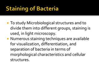 Staining? Importance of staining, What is Stain? Types of stain on the ...