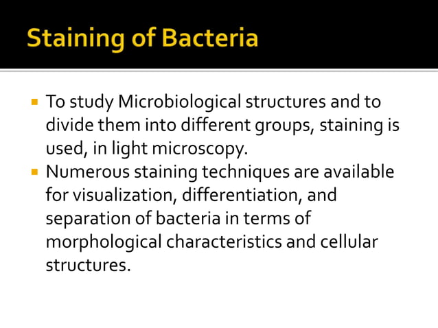 Staining? Importance of staining, What is Stain? Types of stain on the ...