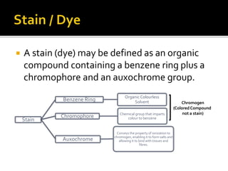 Staining? Importance of staining, What is Stain? Types of stain on the ...