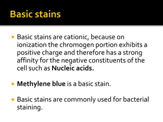 Staining? Importance of staining, What is Stain? Types of stain on the ...