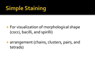 Staining? Importance of staining, What is Stain? Types of stain on the ...