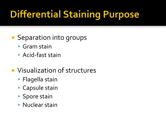 Staining? Importance of staining, What is Stain? Types of stain on the ...