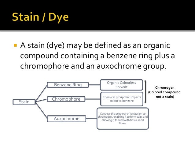 Staining? Importance of staining, What is Stain? Types of stain on th…