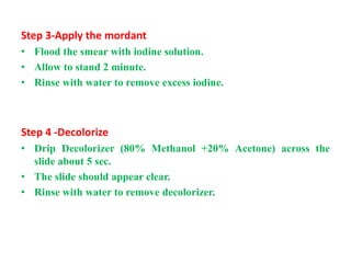 Staining Techniques | PPT