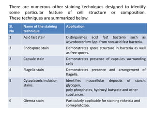 Staining Techniques | PPT