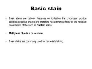 Staining Techniques | PPT