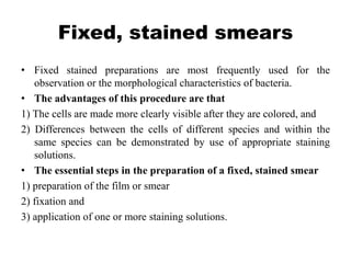 Staining Techniques | PPT
