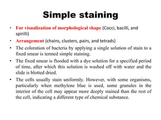 Staining Techniques | PPT