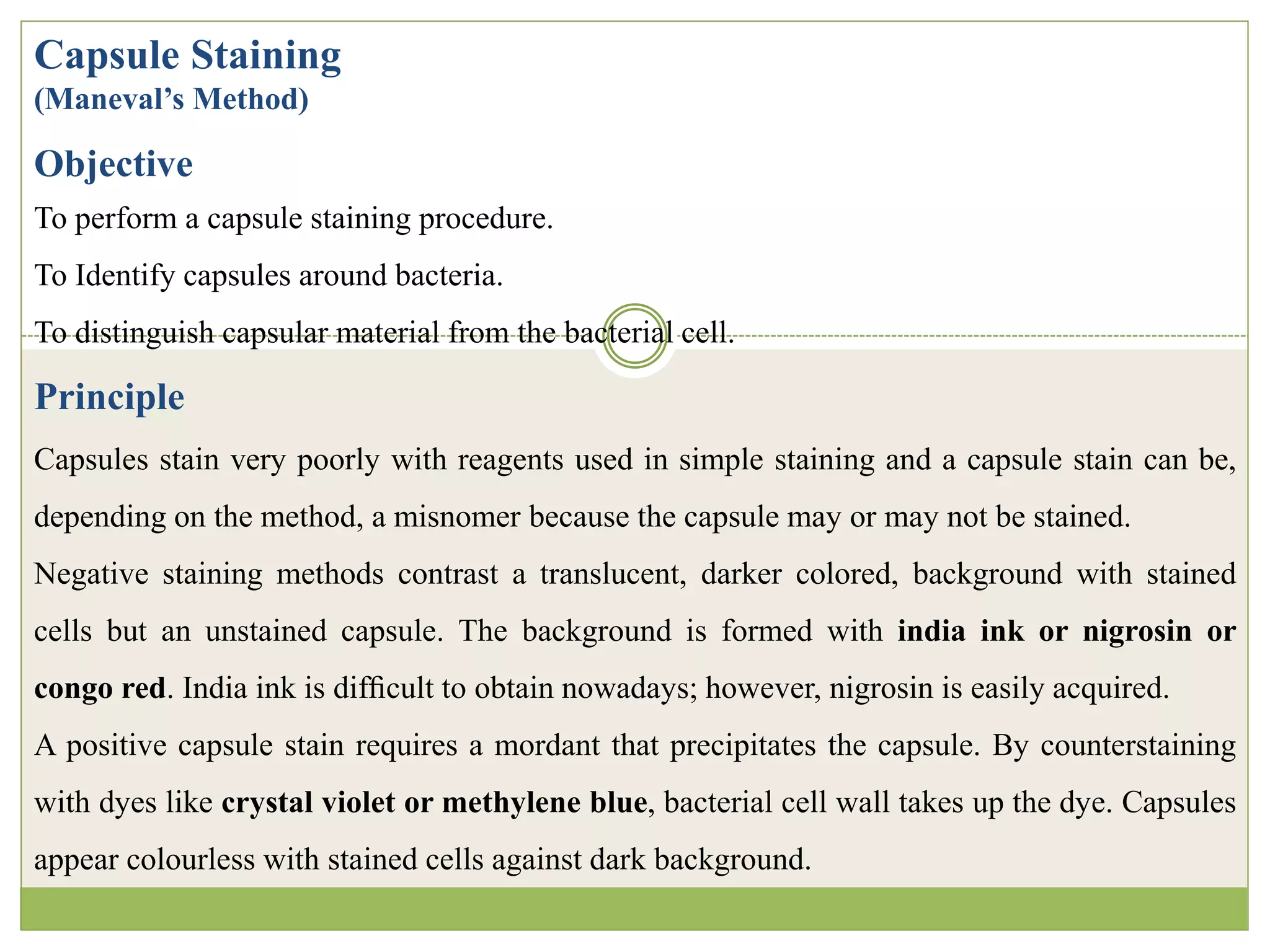 Staining of Bacteria | PDF