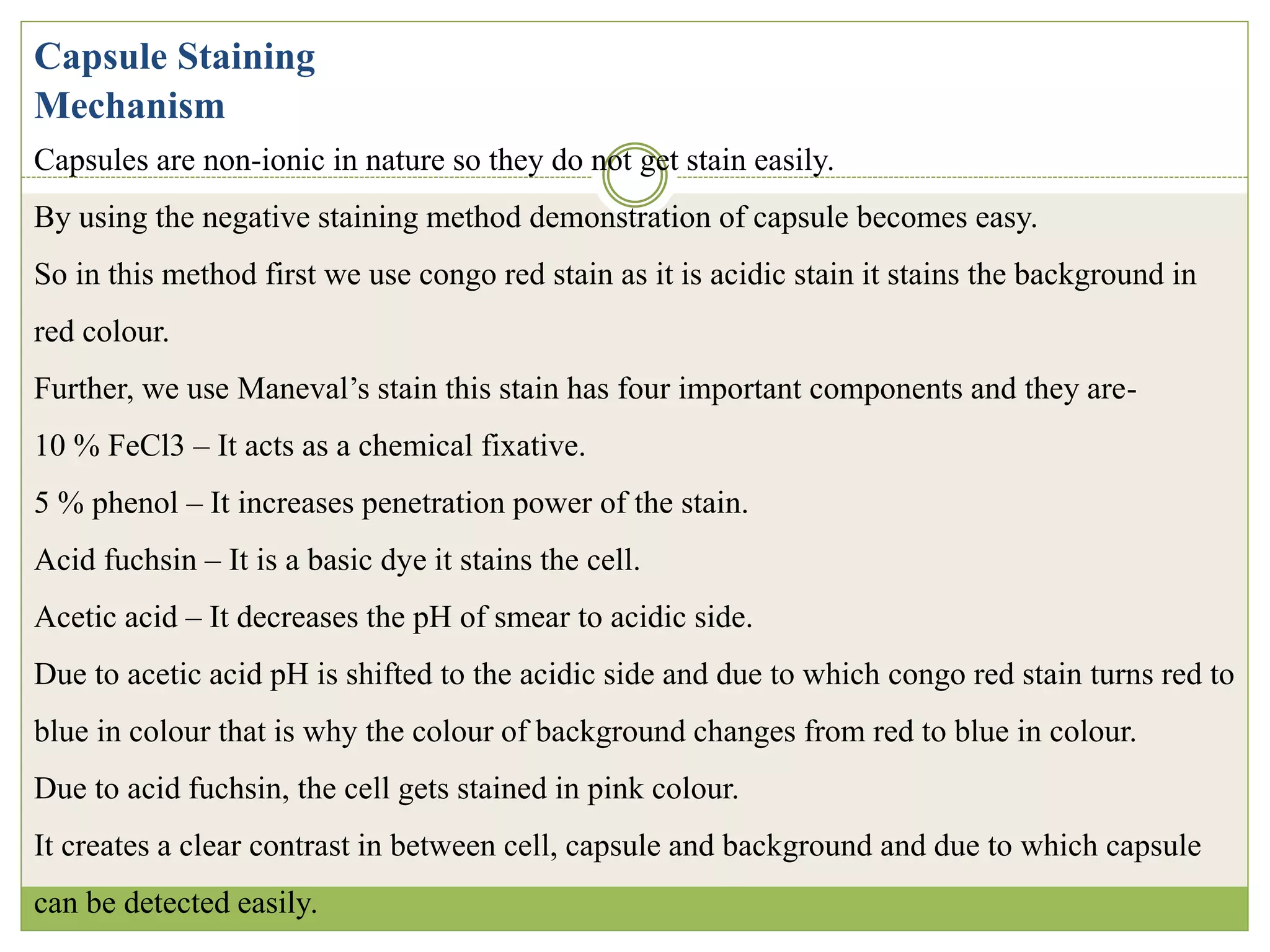 Staining of Bacteria | PDF