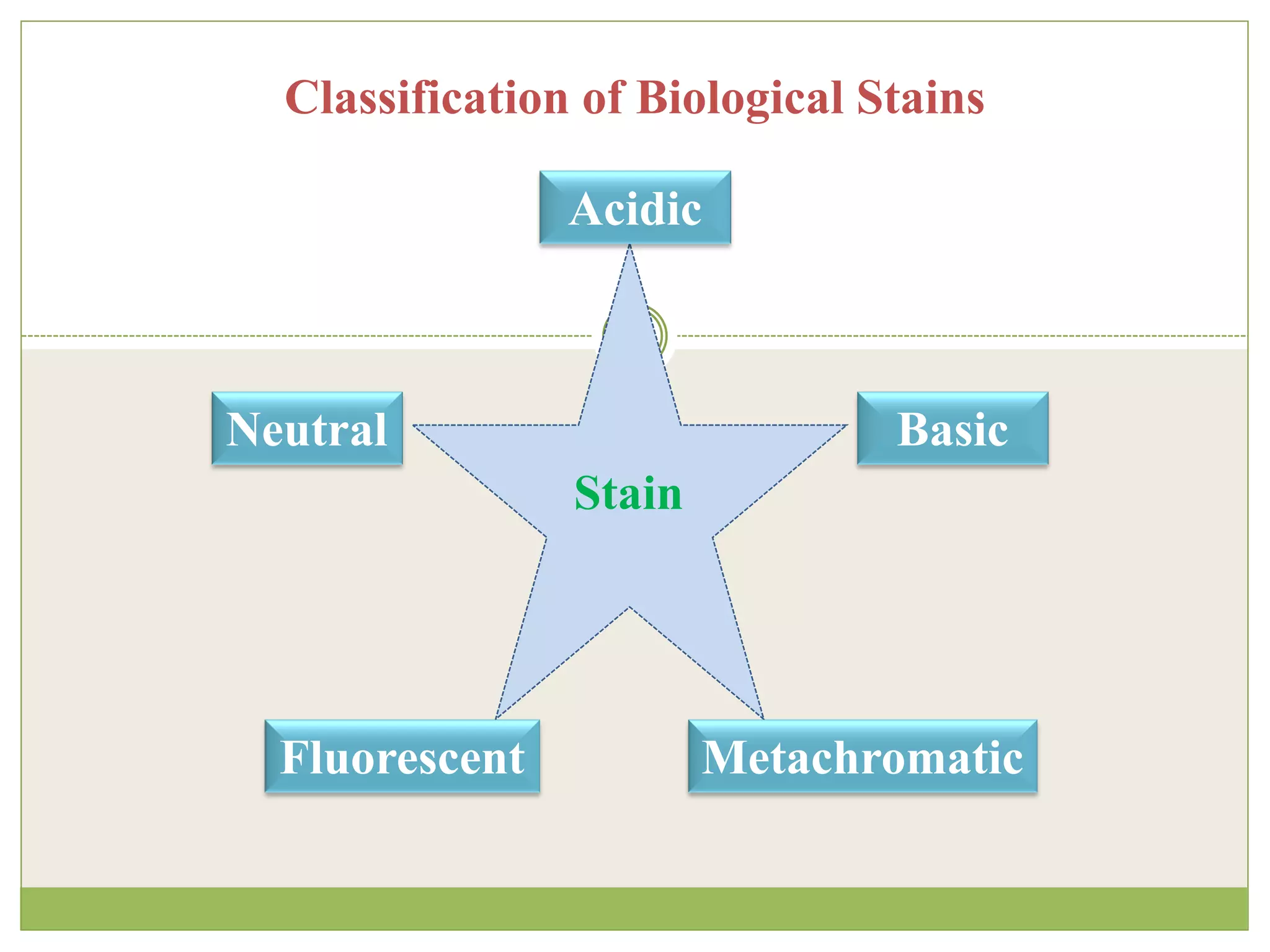 Staining | PDF