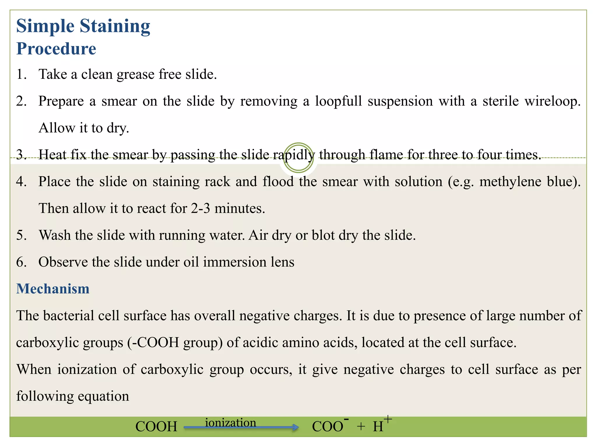 Staining | PDF