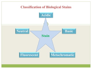 Staining | PDF